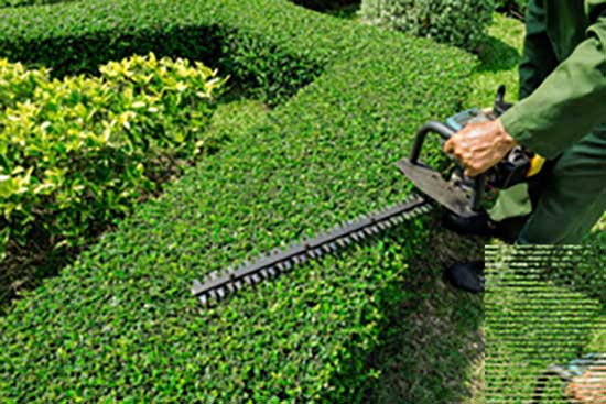 Residential Garden Maintenance - Redgate Services Redgate Property Services